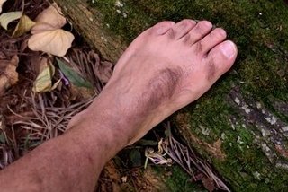 Photo galleries - wikiFeet Men